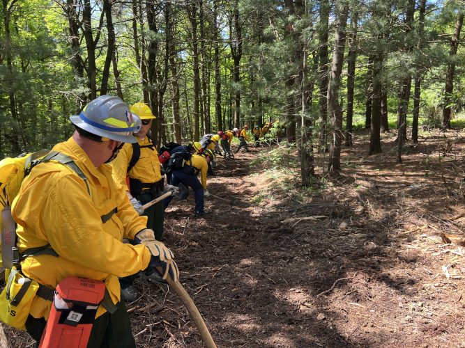Wildland training - Observer-Reporter
